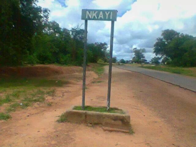 How many schools, wards does Nkayi have? – FactCheckZW