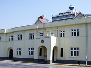 Factsheet: Understanding Statutory Instruments (SIs) – FactCheckZW