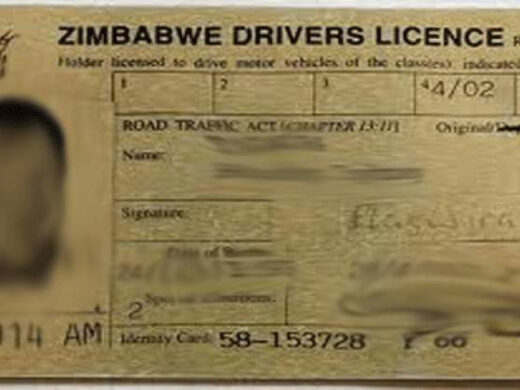 Explainer: Zimbabwe Gold (ZiG) currency – FactCheckZW