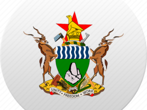 Factsheet on the Zimbabwean Exemption Permits (ZEPs) – FactCheckZW