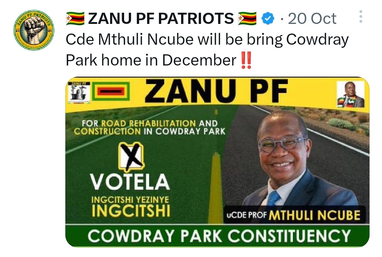 Mthuli Ncube not running in Cowdray Park by-election – FactCheckZW